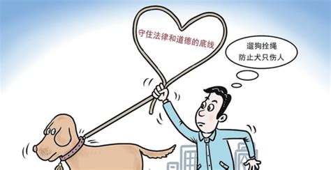 注意！注意！遛狗不牵绳？违法！腾讯新闻