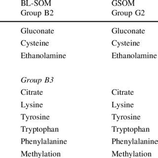 Comparison Of Clustering Results Produced By BL SOM And GSOM Using The