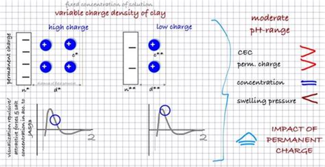 Visualization Impact Of Permanent Charge On Swelling Pressure At