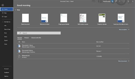 Office 2021 Professional Download For Pc Free