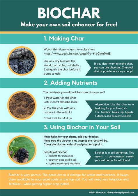 Biochar A Brief Overview Biomass Charcoal And Biochar Ash And Biochar Charging Of Biochar Artofit