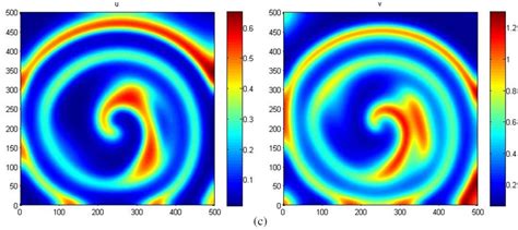 Numerical Solutions Of 2 D Prey Predator System At T 500 ˆ U 6 35 Download Scientific