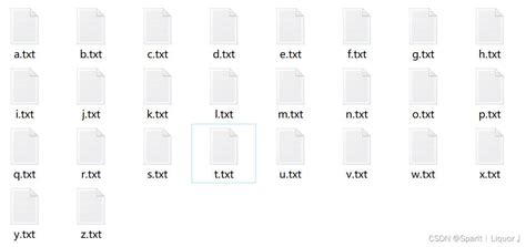 Python程序设计 文件处理三 Csdn博客