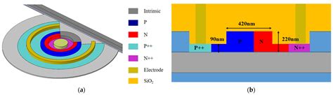 A High Speed Silicon Ring Modulator With A Large Working Wavelength Range