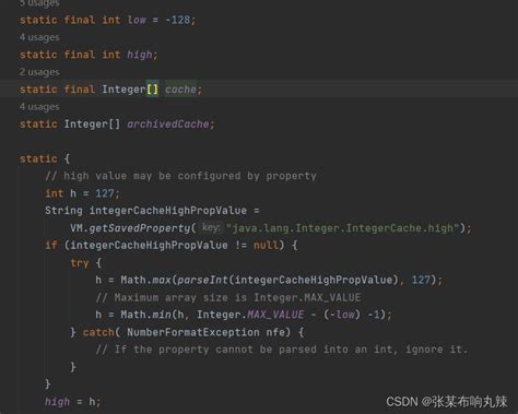 Java Csdn
