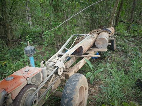 Logging Tractor Wildlife Alliance