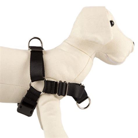 TK Pet doble enganche arnés educativo para perros Kiwoko