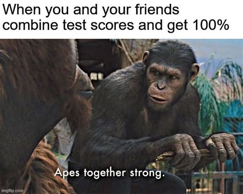 Get Learnt Memes
