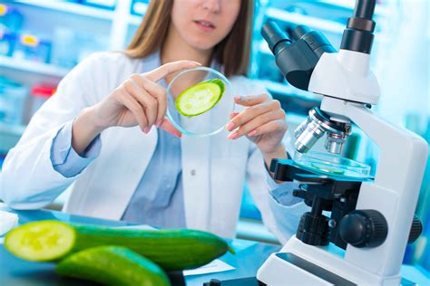 Curso De Calidad Alimentaria Implantación De La Norma Fssc 22000 Iso