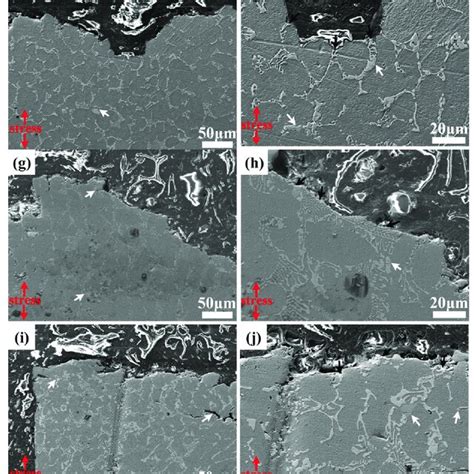 Sem Microstructure Beneath The Fracture Surfaces Of The Tensile