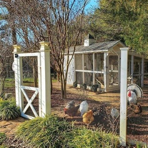Pampered Chicken Mama On Instagram Repost Happydaysfarm Your Coop Is