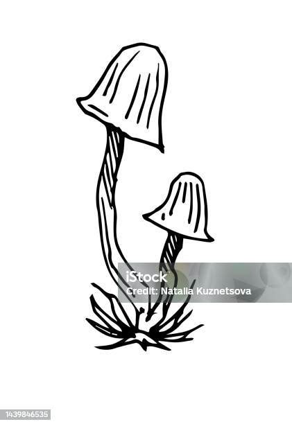 Small Mushroom Edible And Nonedible Mushroom Plants From Wild Forest