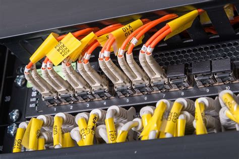 Network Cables Connected To Switch Stock Image Colourbox