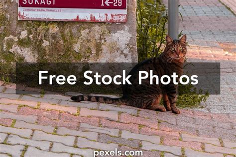 Cyberspace Circut Board Photos Download The Best Free Cyberspace