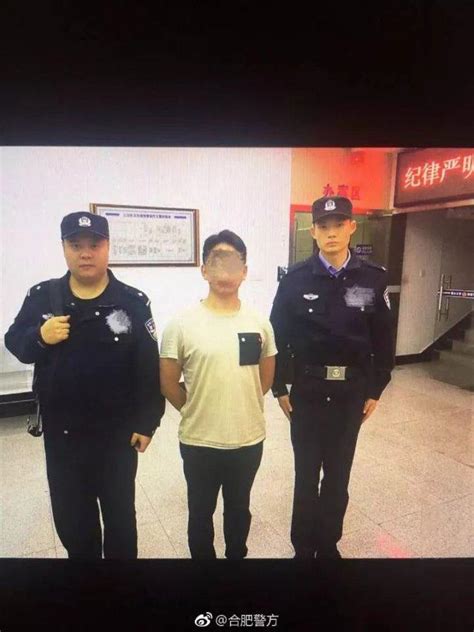 張學友演唱會合肥站落幕 警方：9 名逃犯落網 每日頭條