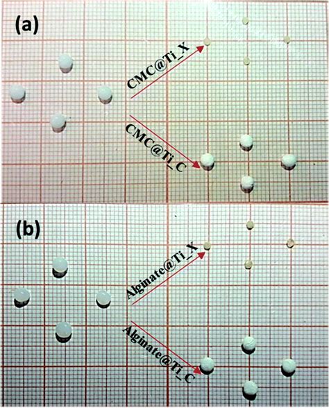 Controlling The Growth Of Nanosized Titania Via Polymer Gelation For Photocatalytic Applications
