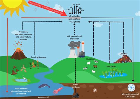 Understanding Methane From Livestock Autumn 2023 Sheep Notes