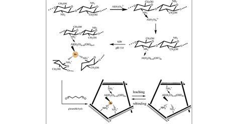 Facile Preparation Of Novel Ion Imprinted Polymers For Selective