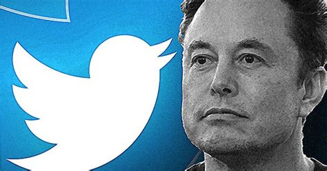 Twitter Podría Tener Flujo De Caja Positivo Este Trimestre Musk Infobae