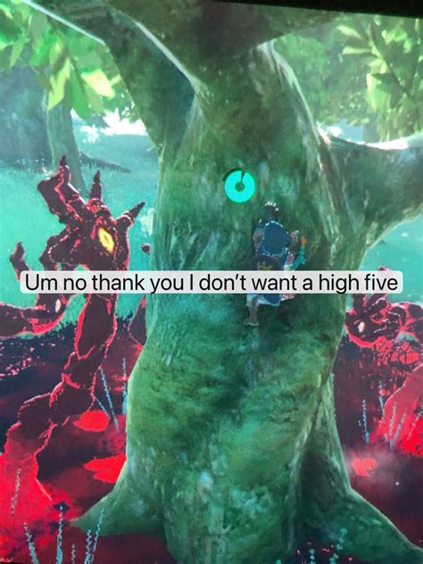 Um No Thank You I Dont Want A High Five Loz Botw Korok Tears Of The