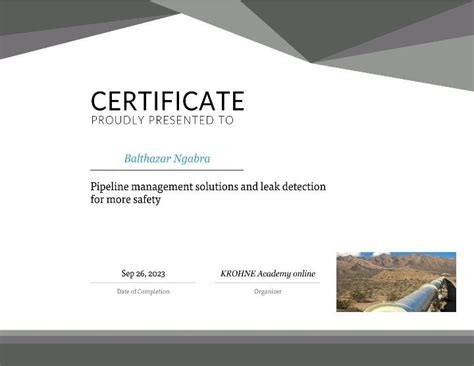 Krohne Krohne Instrumentation Automation Electrical Balthazar Ngabra