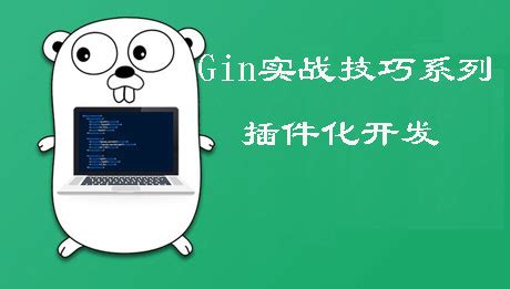 Gin实战技巧篇之云插件化开发 程序员在囧途 jtthink com