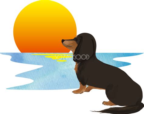 ミニチュア・ダックスフンド犬 初日の出 戌年2018干支無料イラスト82417 素材good