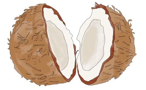 Breaking Coconuts Feminist Food Journal