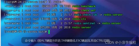 Redis系列在Centos7上安装Redis5 0保姆级教程 centos7安装redis5 CSDN博客