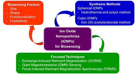 Magnetic Nanoparticles Synthesis