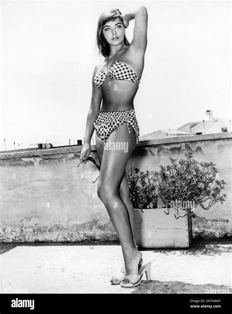 Barbara Billingsley In Swimsuit