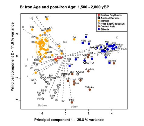 Dienekes Anthropology Blog Mitochondrial Dna In Ancient Human