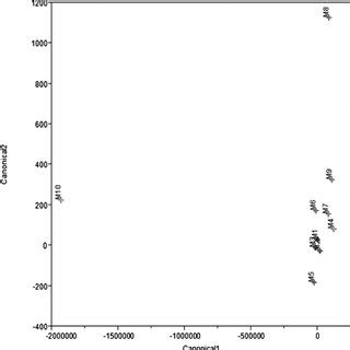 Two Dimensional Canonical Score Plot Showing The Differentiation Of