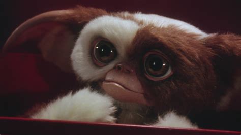 Gremlin Gizmo Wallpapers 26 Images Inside