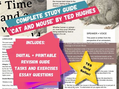 Cat And Mouse By Ted Hughes Complete Lesson Study Guide