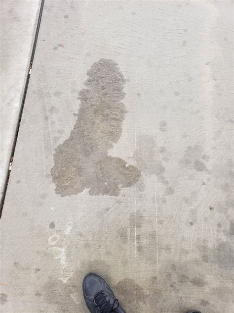 Found This In A Taco Bell Parking Lot Today Rmildlypenis