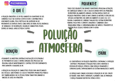 Mapa Mental Poluição Do Ar Roaredu