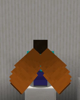 Customizable Elytra Gallery