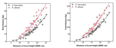The Power Function Curves Of Biomass And Dbh Of C Lanceolata And P