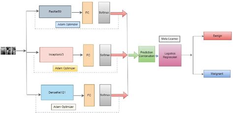 Figure 1 From Breast Cancer Classification Through Meta Learning