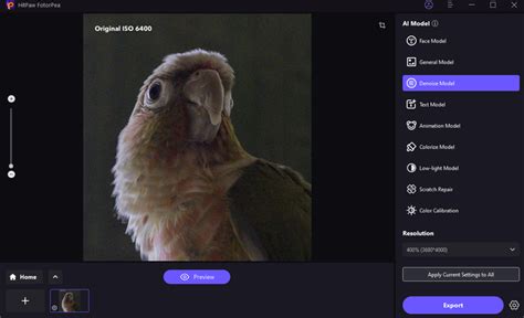 A Comprehensive Guide To Chroma Noise In Photography