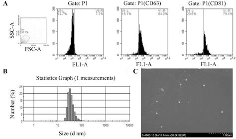 Figure 2 From Uptake Characterization Of Tumor Cell Derived Exosomes By
