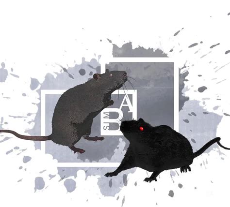 Simple Behavioral Analysis Simba Open Neuroscience