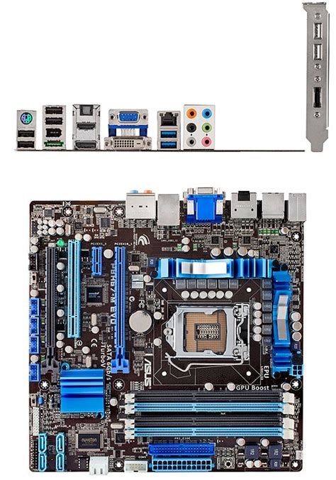 Buy ASUS P8H67-M EVO Motherboard [P8H67-M-EVO] | PC Case Gear Australia
