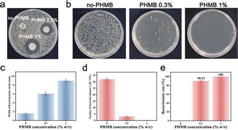 Antibacterial Properties Of Cs Peg Phmb Hydrogels A Photograph Of Download Scientific