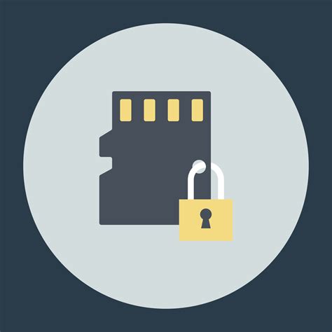 sd card security 6354031 vector art at vecteezy