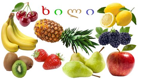 ვისწავლოთ ხილი Viswavlot Xili Youtube