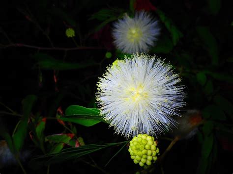 Ishigakijima Adventure Pipi 2025 All You Need To Know Before You Go With Photos Tripadvisor