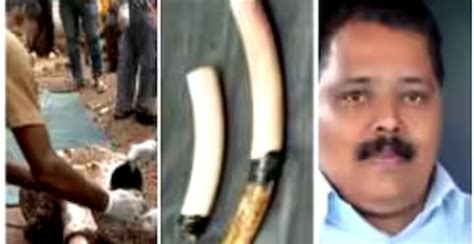 വൈദ്യുതി ആഘാതമേല്‍പ്പിച്ച് കാട്ടാനയെ കൊന്ന് കുഴിച്ചിട്ട തോട്ടമുടമ ഉള്
