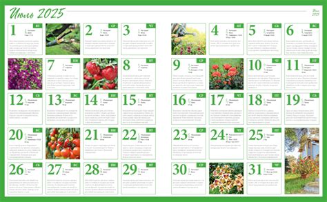 Лунный посевной календарь садовода цветовода и огородника на июль 2025 года